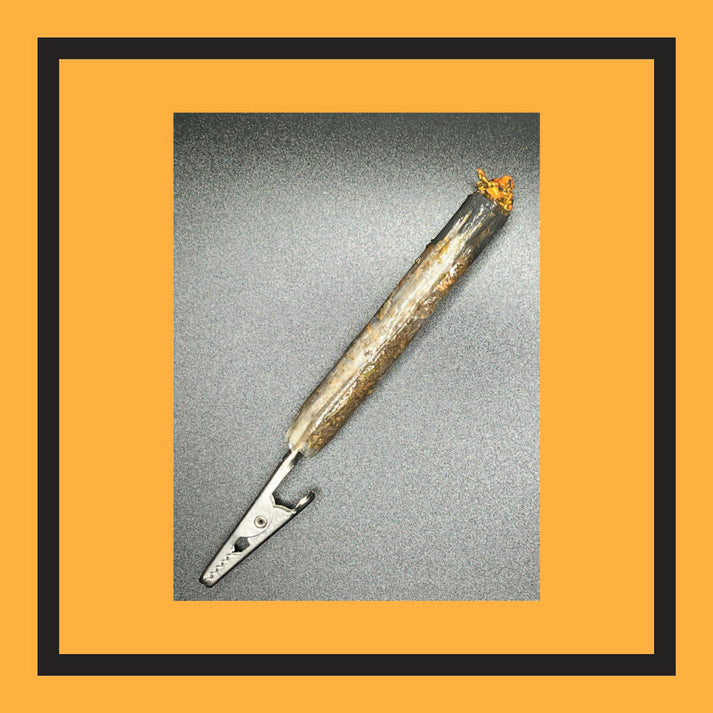 Real Weed Roach Clip – Taylor Made Graphics and Design